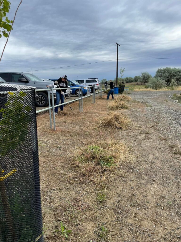 Photo Gallery – Nevada Muleys
